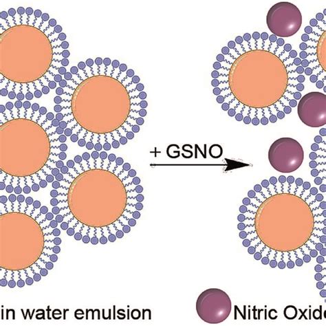 Illustrated Scheme Of The Emulsion Formulation Download Scientific