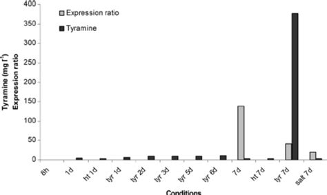 Transcription Ratios Of The Tdca Gene With Rpoa As The Reference Gene Download Scientific