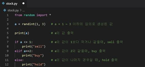 파이썬 랜덤 의사결정