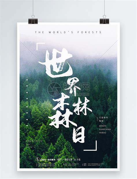 世界森林日公益海报模板素材 正版图片401691805 摄图网