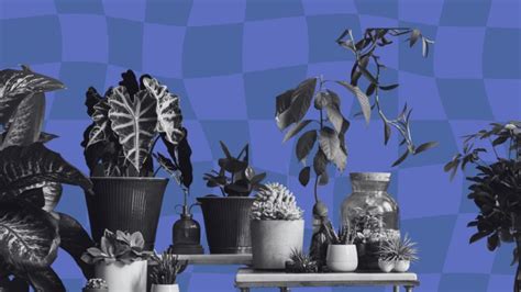 Salesforce Tips 12 Ways For Users To Supercharge Productivity Salesforce Ben