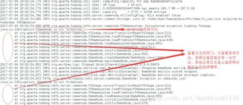 datanode或者namenode无法启动 hadoop从节点没有version csdn博客