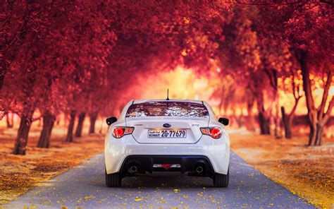 K Ultrawide Autumn Wallpapers Wallpaper Cave