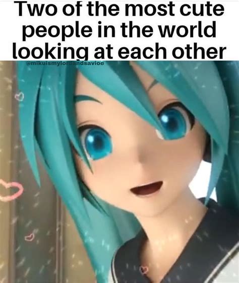 Pin By Gail On Vocaloid Miku Hatsune Vocaloid Funny