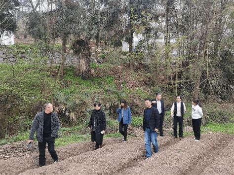 产学研发展中心组织科技特派员赴桐梓县茅石镇正龙村开展科技帮扶活动 遵义师范学院 产学研发展中心
