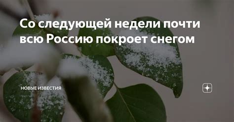 Со следующей недели почти всю Россию покроет снегом НОВЫЕ ИЗВЕСТИЯ Дзен