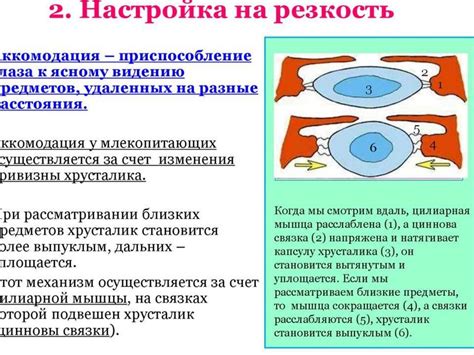 Зрительное восприятие и познание лекция 2 презентация онлайн