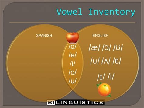assessment and intervention with english language learners a bilingual