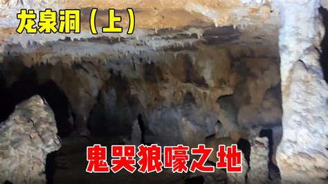 黑暗的洞穴深入地下，岩壁间弥漫着潮湿的腥臭，简直是鬼哭狼嚎之地【探险中国帅帅】 Youtube