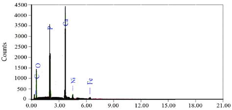 Edx Analysis Of The Coating Layer On The Aisi 316 L Alloy Substrate Download Scientific Diagram
