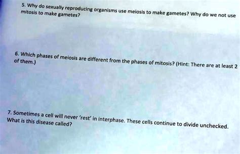 Solved Why Do Sexually Mitosis To Make Gametes Meresducing Organisms Use Meiosis To Make