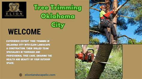 PPT Precision Tree Trimming In Norman OK Elion Landscape Construction PowerPoint