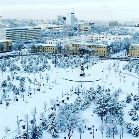 Shukrullo Solijonov On Linkedin Tsul