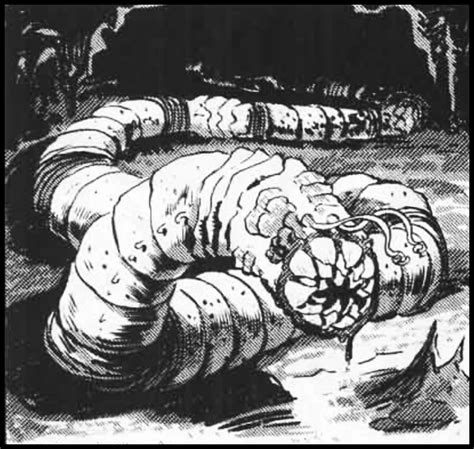 Great Annelid Forgotten Realms Wiki Fandom