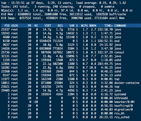 Linux命令 Top命令使用详解 《java 成长之路》 极客文档