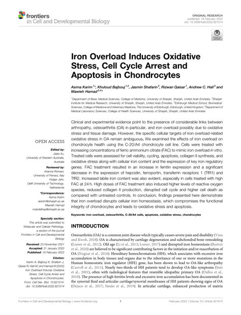 PDF Iron Overload Induces Oxidative Stress Cell Cycle Arrest And