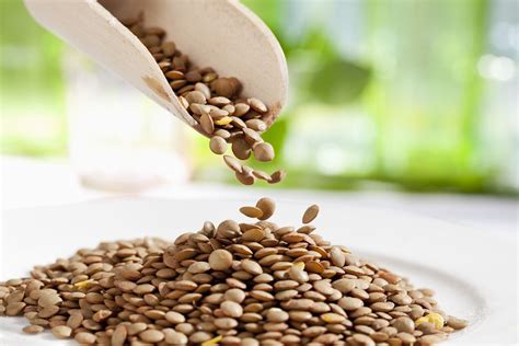 The History And Origin Of Lentils