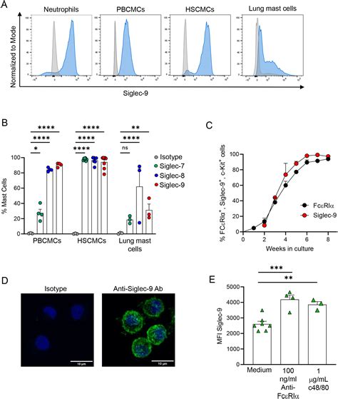 Siglec 9 Is An Inhibitory Receptor On Human Mast Cells In Vitro Pmc