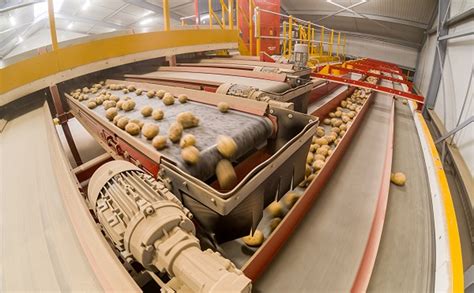 optical grading it s the best way to grade potatoes potatopro
