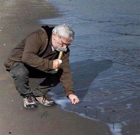 როცა უფროსი შემოდის და ადამიანები მსოფლიოს ქალაქებიდან