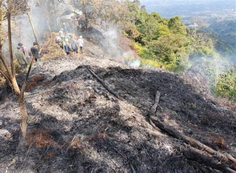 Kebakaran Hutan Gunung Salak Berhasil Dipadamkan Sekitar Jabar
