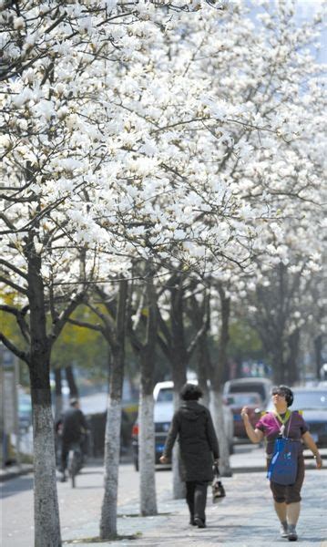 合肥天气合肥天气30天预报 随意云