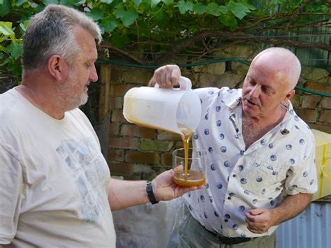 Urban Stingless Beehive Harvesting And Splitting Milkwood