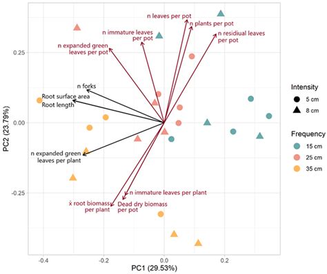 Distribution Of Non Structural Carbohydrates And Root Structure Of