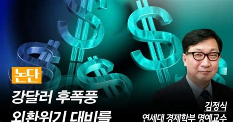 논단 강달러 후폭풍외환위기 대비를