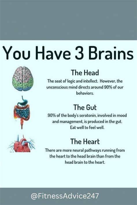 Ways To Increase Your Dopamine Levels Naturally Artofit