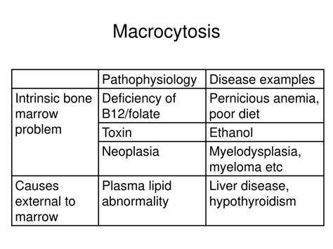 Ppt Macrocytic Anemia B12 And Folate Powerpoint Presentation Free
