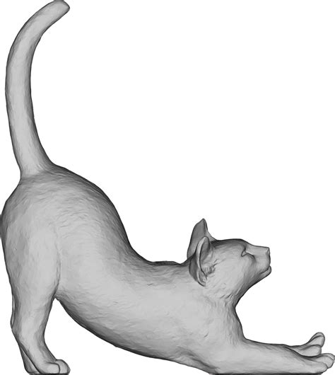 Explore 12633 Free Cat Stretching Illustrations Download Now Pixabay