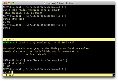 Terminal Why Is Gnu Screen Not Showing The Bottom Window Caption