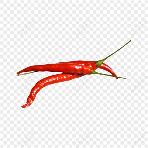 매운 붉은 김치 동반 기장 야채 신선한 빨간 Png 일러스트 무료 다운로드 Lovepik