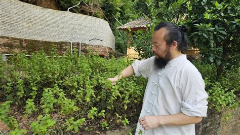 湘西赶尸匠最后一个赶尸人无量子人物介绍，湘西龙山县名人网红录 知乎