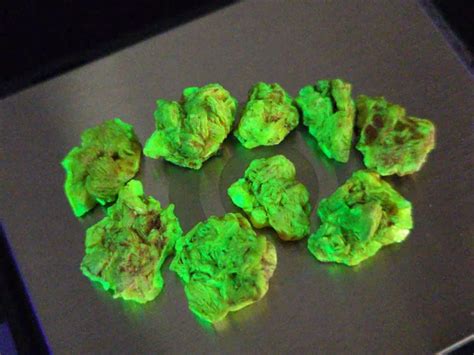9 Piece Autunite Lot ~ Fluorescent Uranium Ore Geiger Check