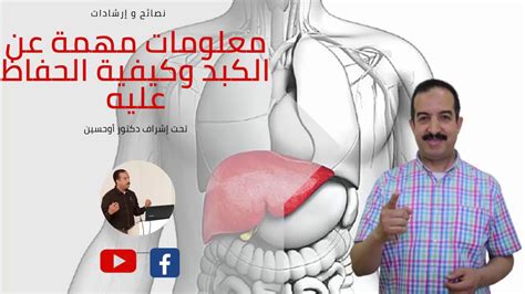 الأطباء يحذرونكعلامات على أن الكبد مليء بالسموم وبحاجة للتدخل الفوري