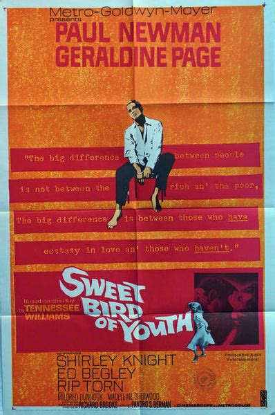 Sweet Bird Of Youth Paul Newman Original Movie Poster Usa 1962