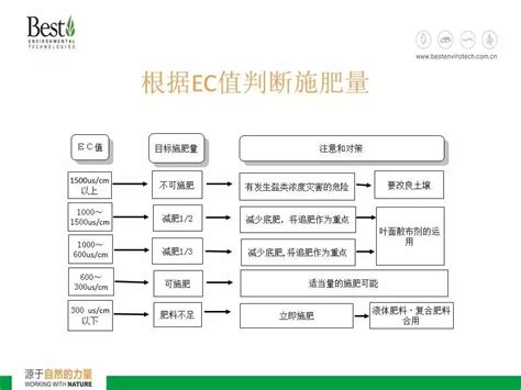 什么是土壤盐碱化？如何解决？