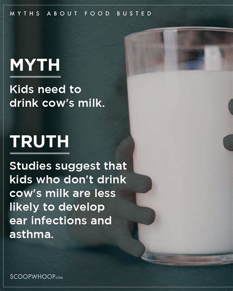 12 Common Food Myths Most People Still Dont Know Have Been Busted By