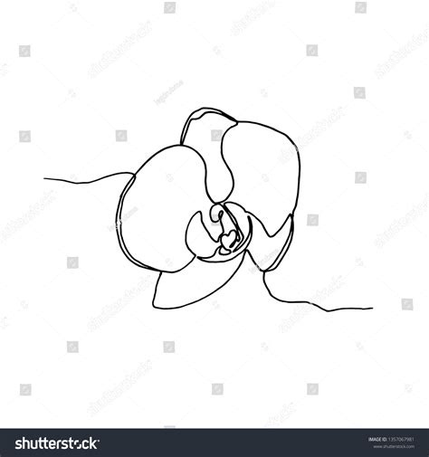 Monochrome Hand Drawn Orchid Flower One Stock Vector Royalty Free
