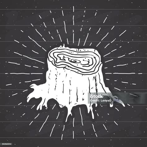 樹樹樁老式標籤手的素描畫grunge 紋理復古徽章排版設計 T 恤列印向量圖上黑板背景向量圖形及更多pinaceae圖片 Pinaceae