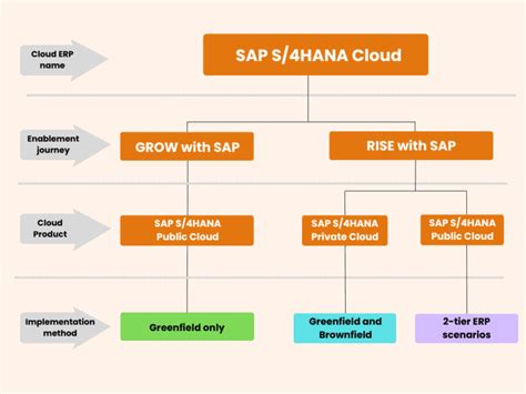 Grow With Sap Vs Rise With Sap What Is The Difference