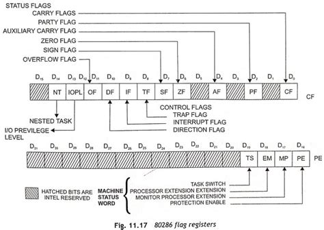 Architecture Of 80286 Microprocessor Eeeguide