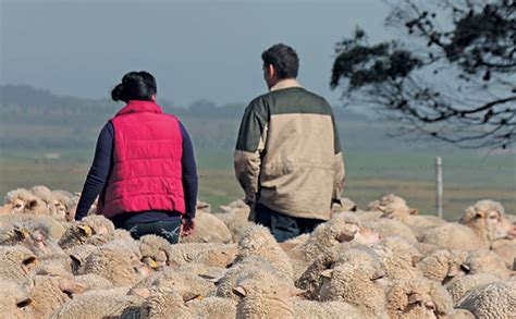Global Challenges Facing Farmers