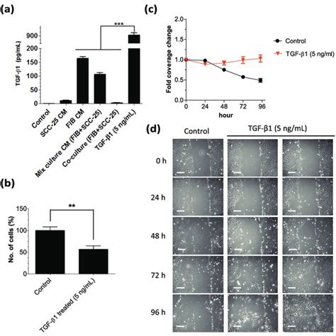 Fib And Scc 25 Cells Produce Tgf β1 And The Effects Of Tgf β1 On Scc 25