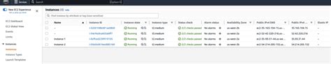 Deploy Aws Spot Instances With Elastigroup