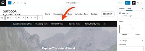 How To Create Dynamic Menus In Wordpress Part 2 Block Visibility