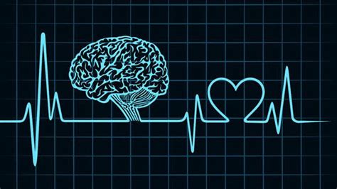 Respirar Contaminación Los 5 Primeros Años De Vida Cambia El Cerebro