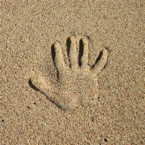 Christopher Cook Youtube